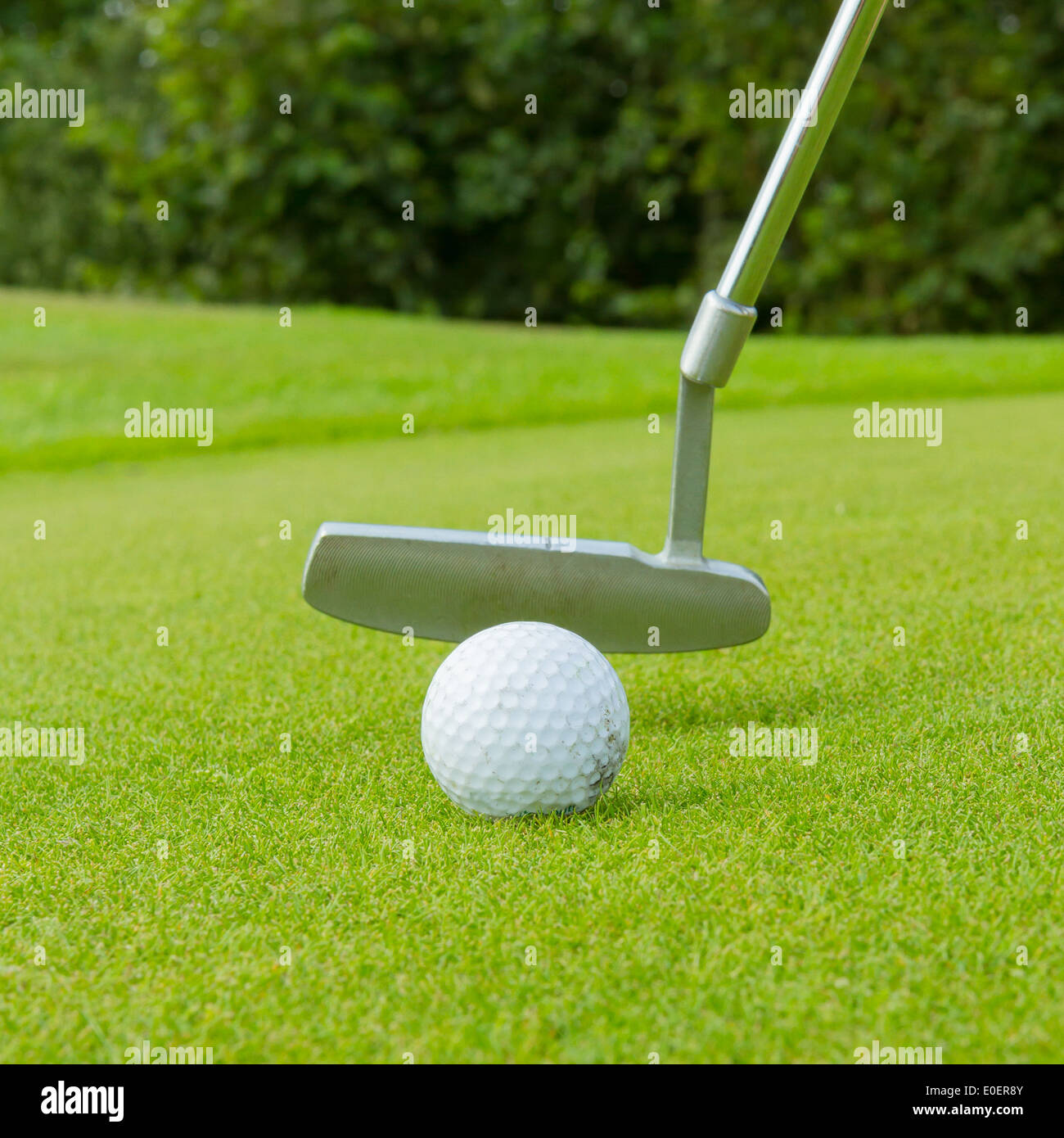 Golf ball on front of a driver at driving range Stock Photo - Alamy