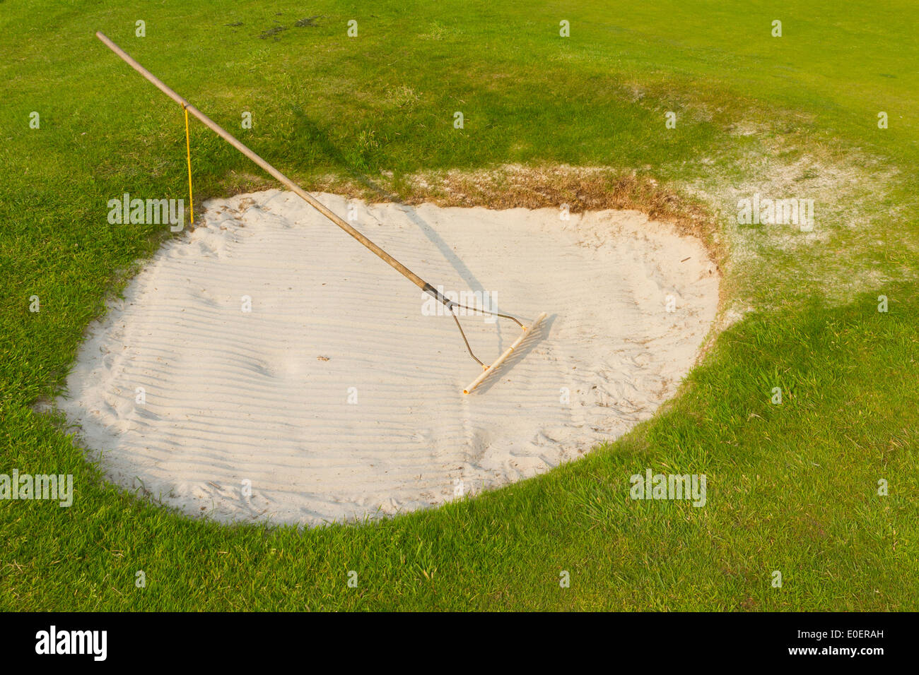Golf: sand trap on the green grass Stock Photo - Alamy