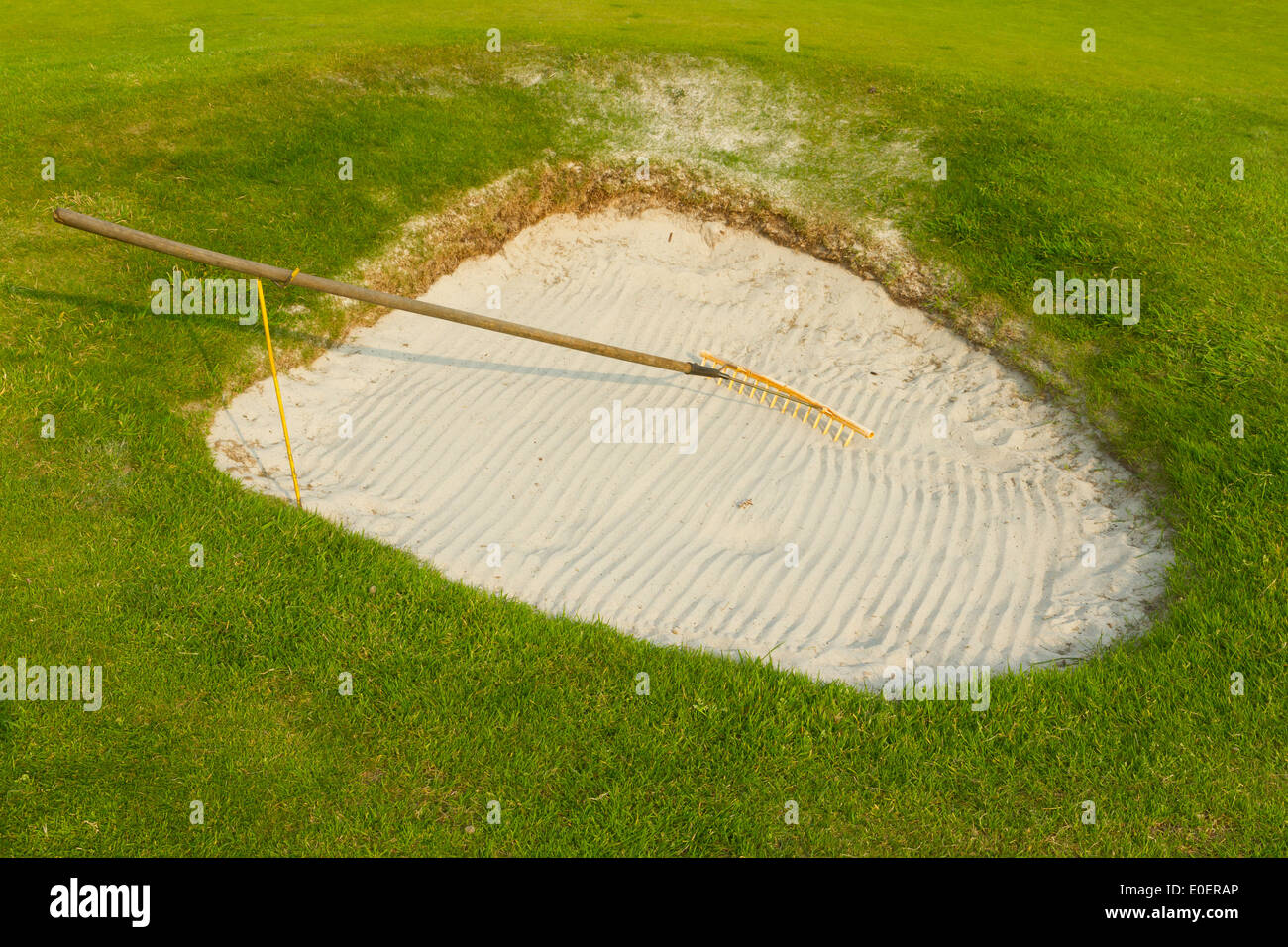 Golf: sand trap on the green grass Stock Photo - Alamy