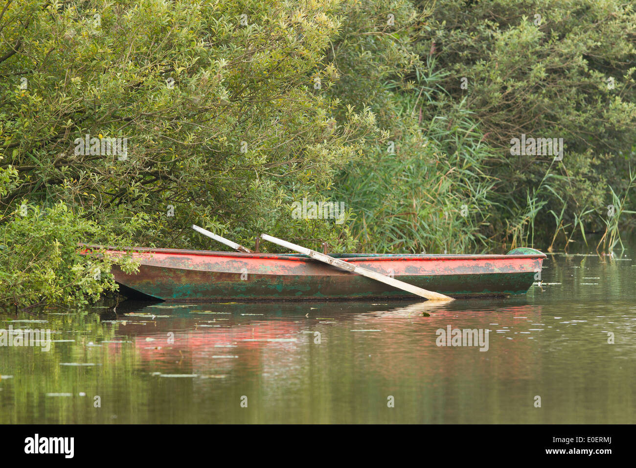 Red rowing boat on lake in the Netherlands Stock Photo - Alamy