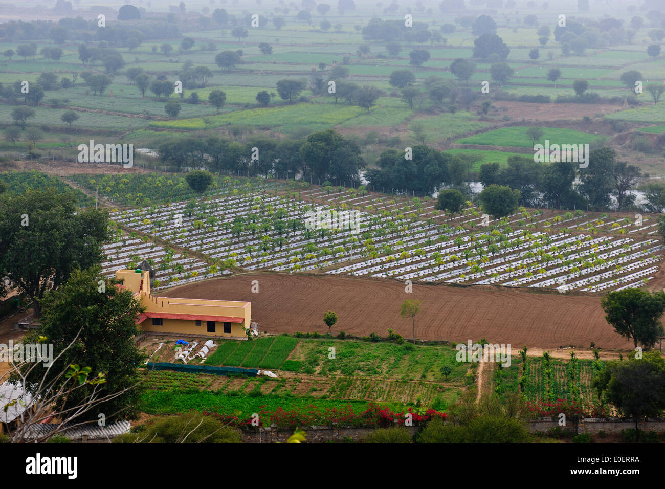 Ramathra Fort,Kalisil Dam Lake, Fishermen,Vegetable Garden,Papayas ...