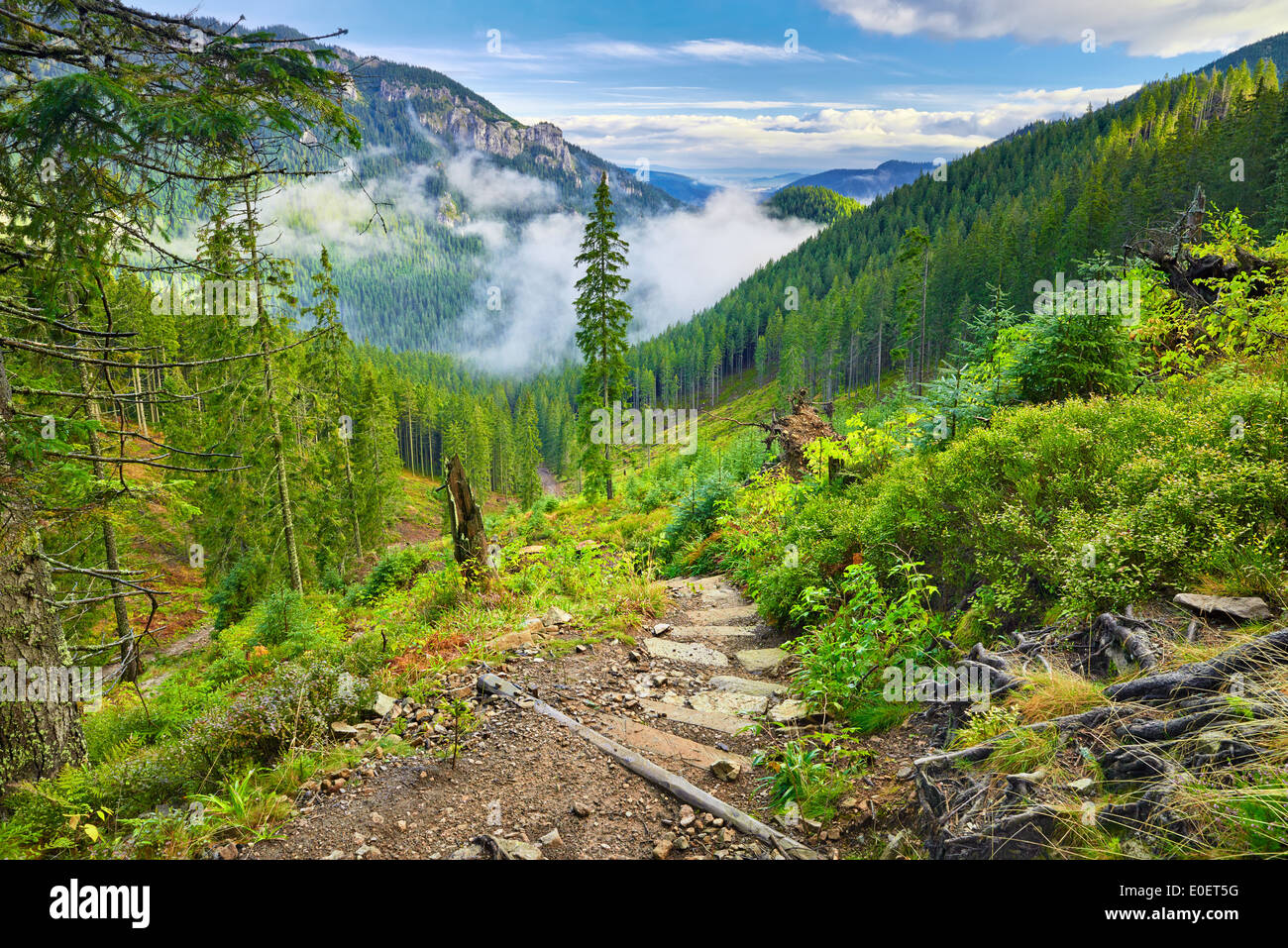Tatras nature reserve hi-res stock photography and images - Alamy