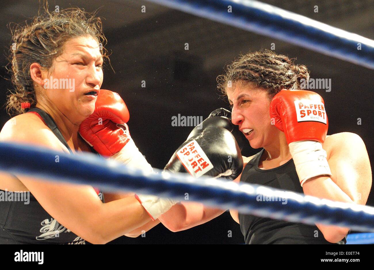 Rola el halabi professional german boxer hi-res stock photography and ...