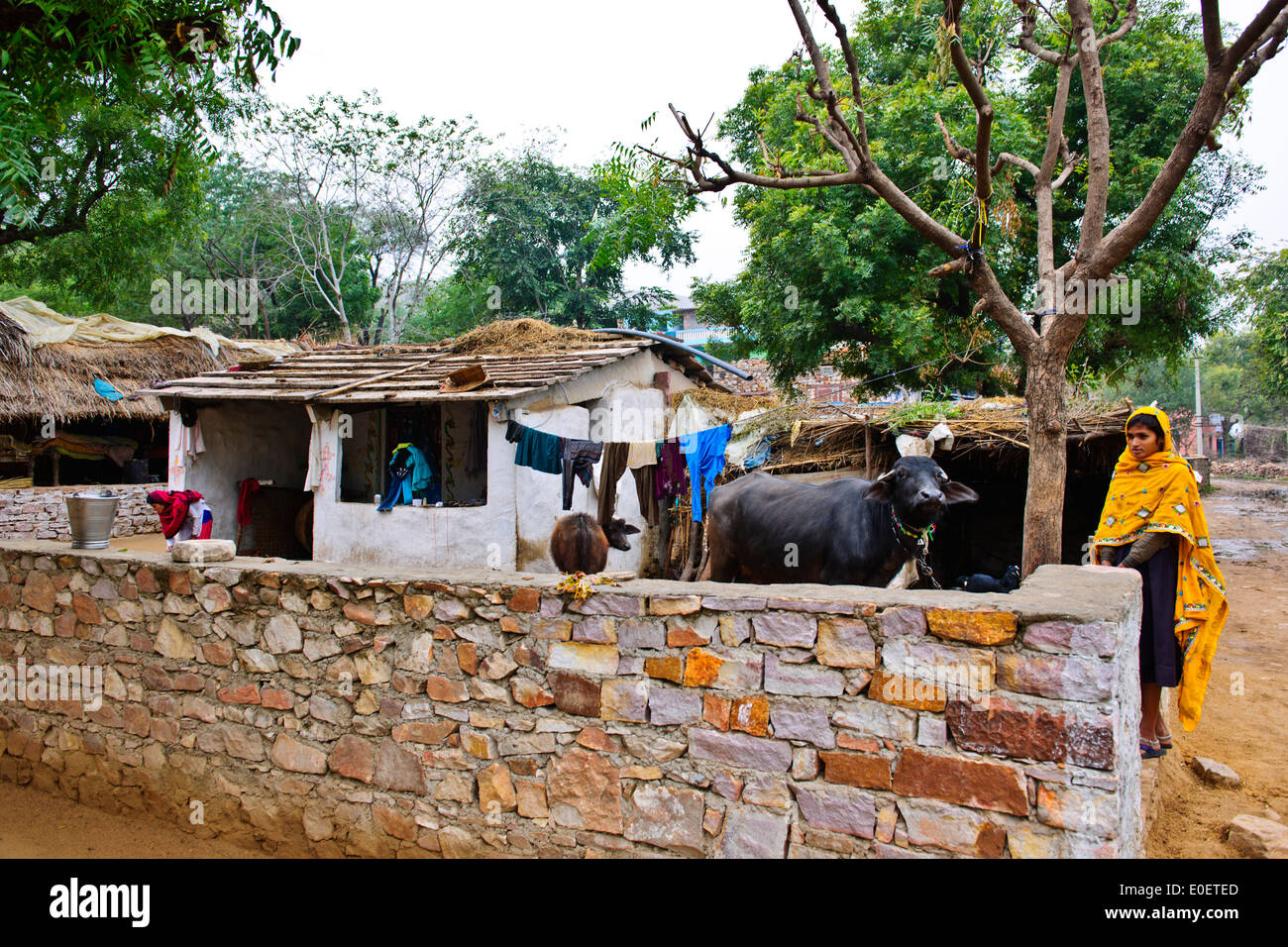 Ramathra Fort,Kalisil Dam Lake,Fishermen,Vegetable Garden,Papayas ...