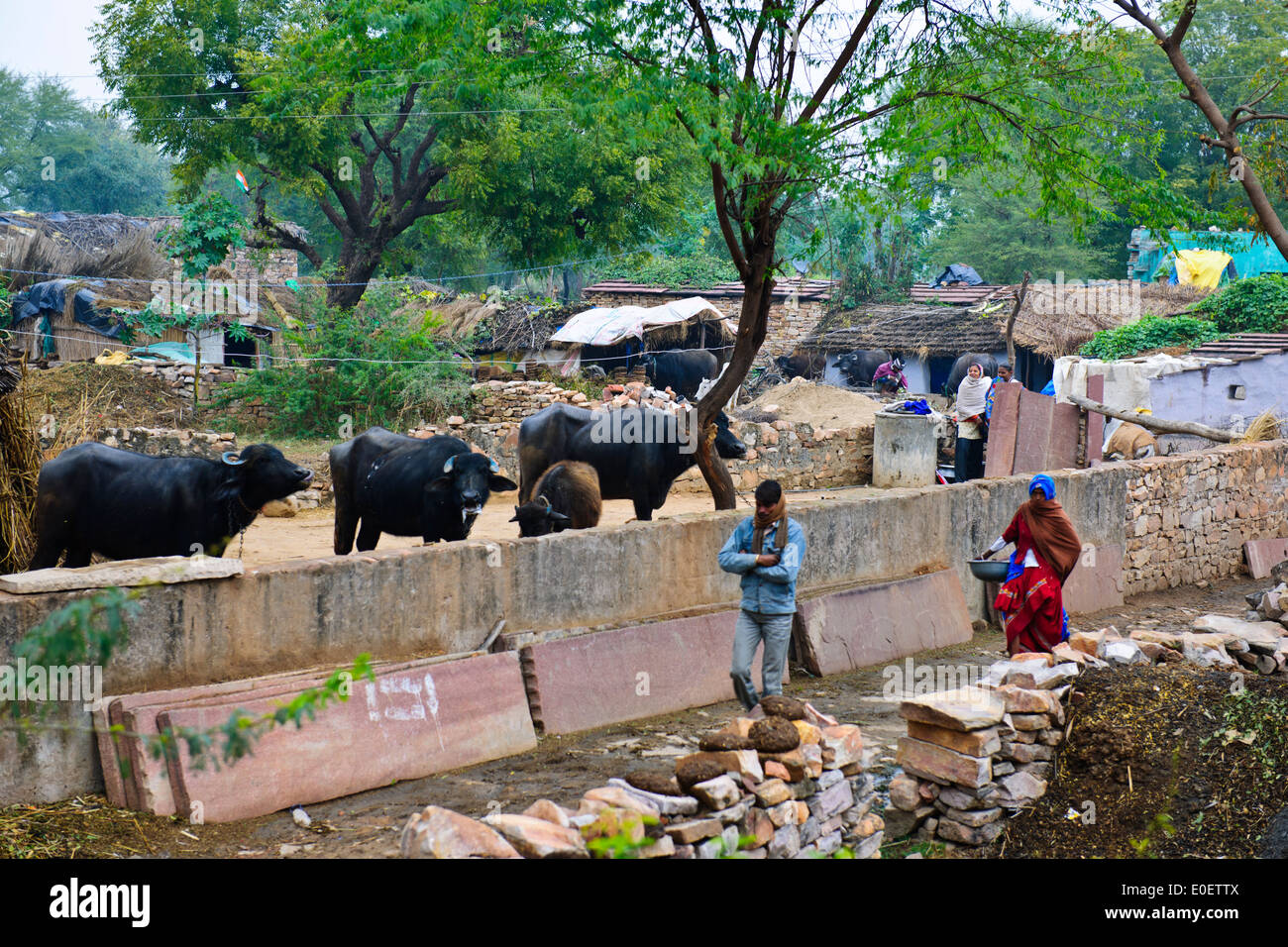 Ramathra Fort,Kalisil Dam Lake,Fishermen,Vegetable Garden,Papayas ...