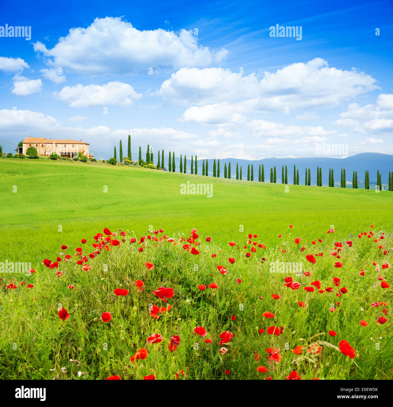 Highland landscape hills flowers hi-res stock photography and images ...