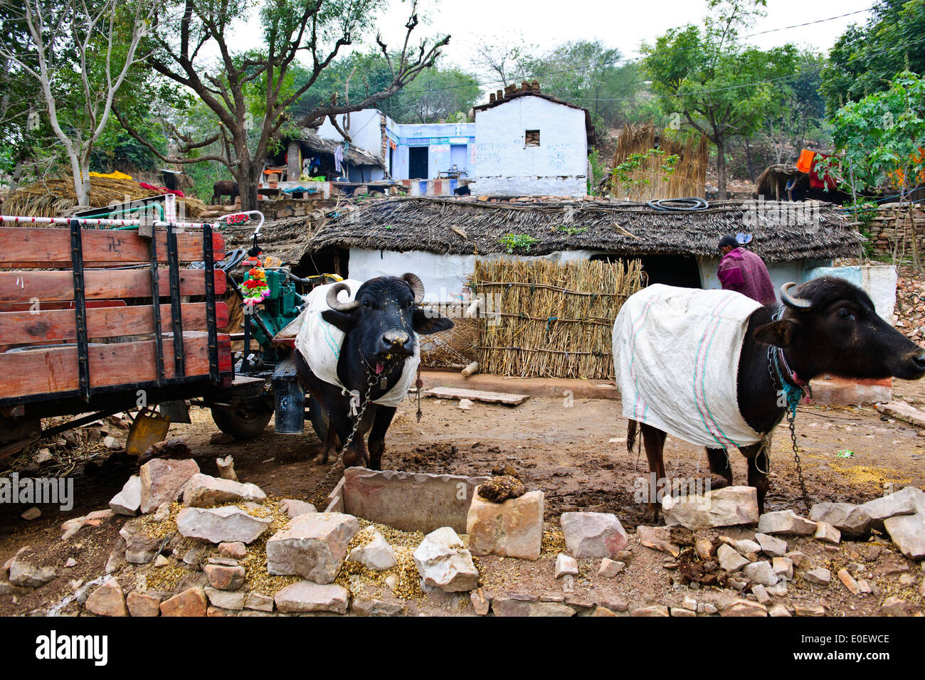 Ramathra Fort,Kalisil Dam Lake,Fishermen,Vegetable Garden,Papayas ...