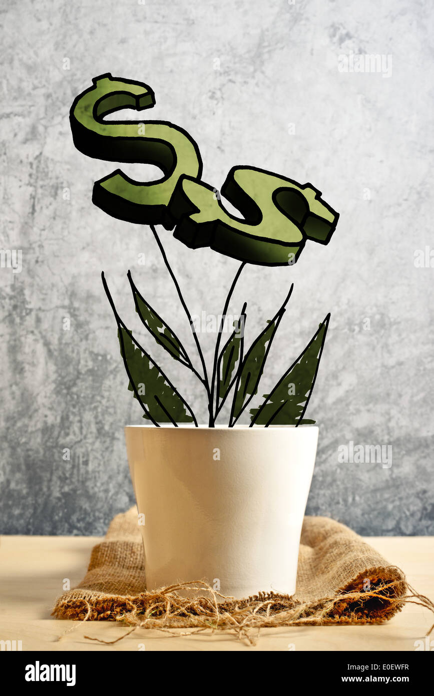 Growing dollars in flower pot, conceptual image of mixed content ...