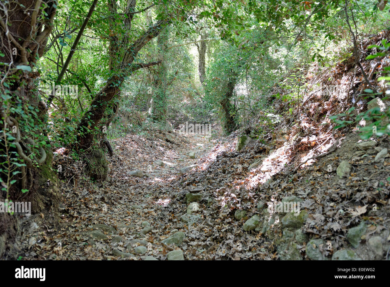 Dry stream or river bed near Katsivelos archaeological site Ancient ...