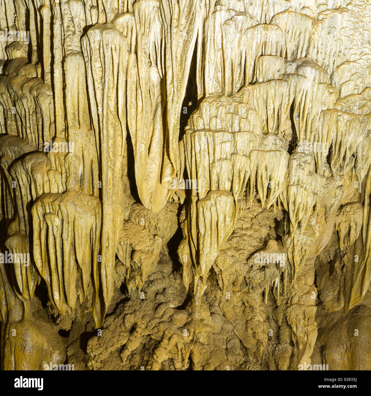 Limestone formations in the Son Doong cave, worlds largest cave ...