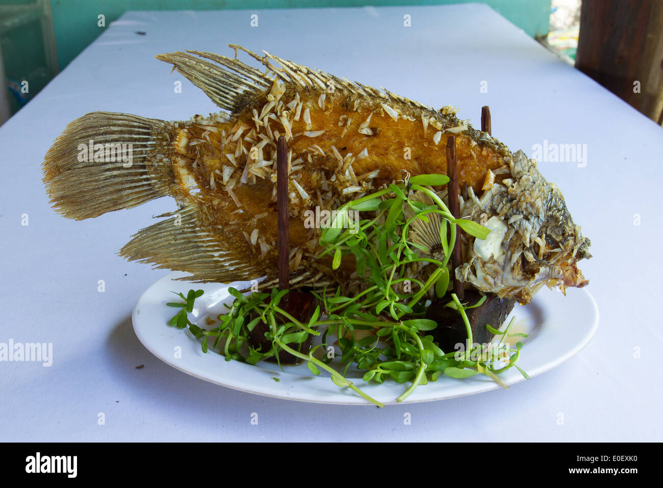 Elephant ear fish grilled and ready to eat, isolated on white Stock ...