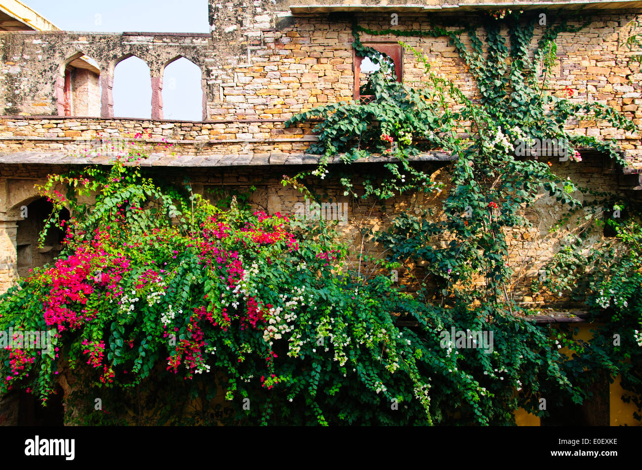 Ramathra Fort,Kalisil Dam Lake, Fishermen,Vegetable Garden,Papayas ...