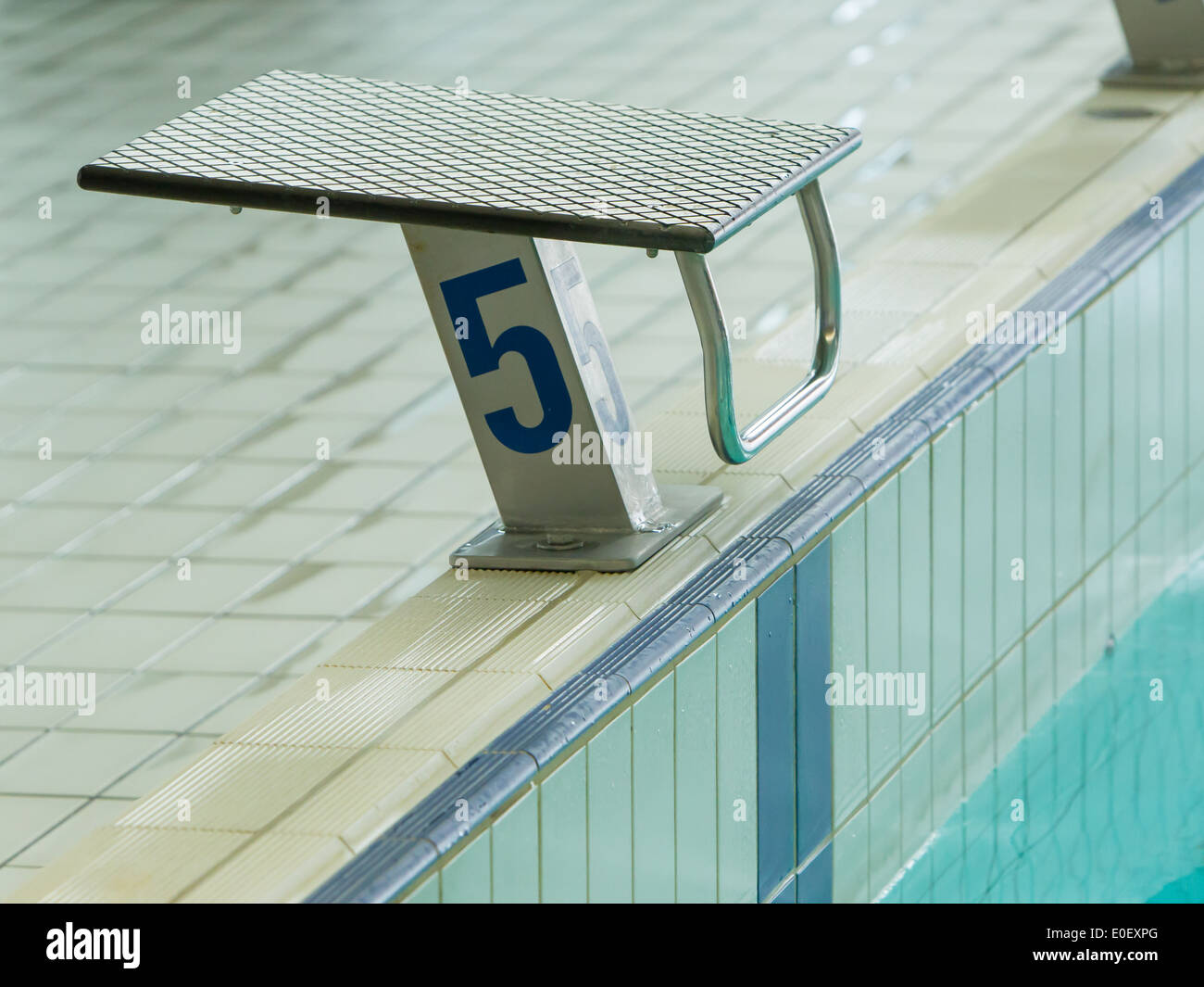 Swim race starting block and indoor pool, number 5 Stock Photo - Alamy