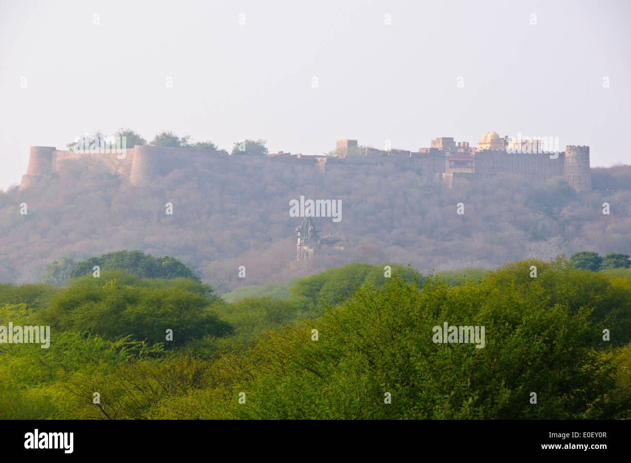 Ramathra Fort,Kalisil Dam Lake,Fishermen,Vegetable Garden,Papayas ...