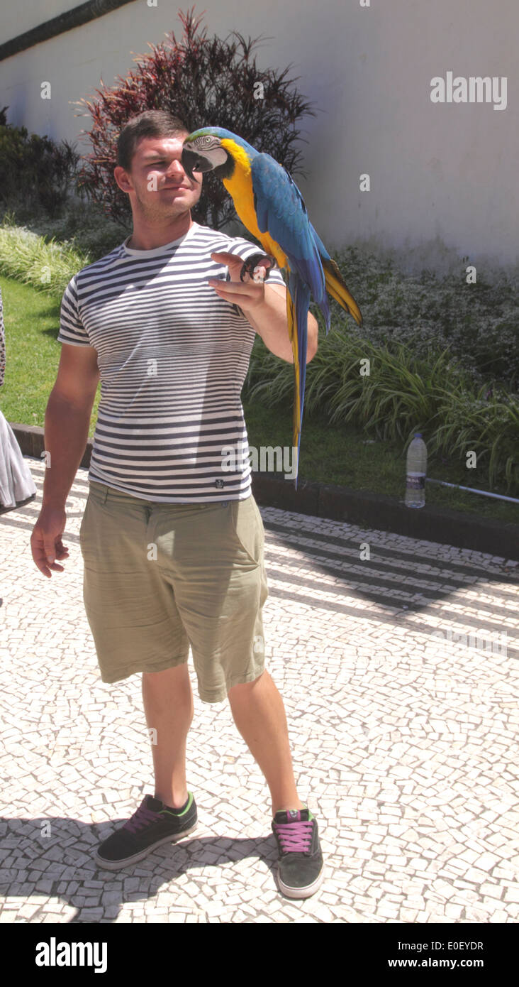 Madeira man hi-res stock photography and images - Alamy