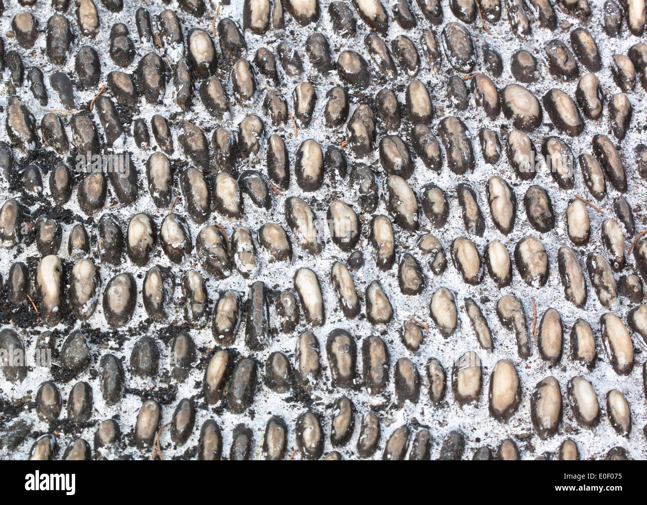 Black lines walkway hi-res stock photography and images - Alamy