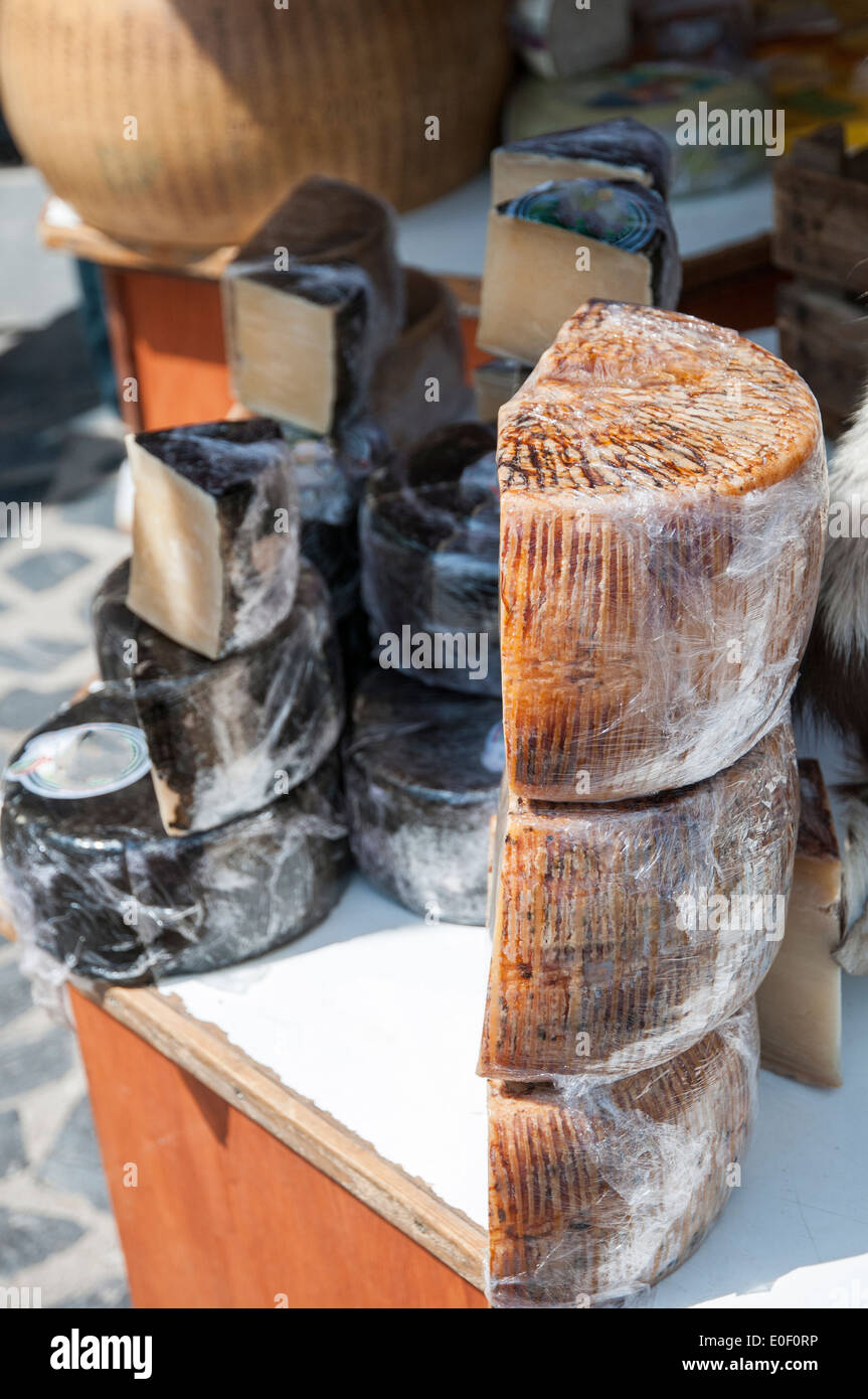 cheese exhibition where you can try several varieties Stock Photo - Alamy