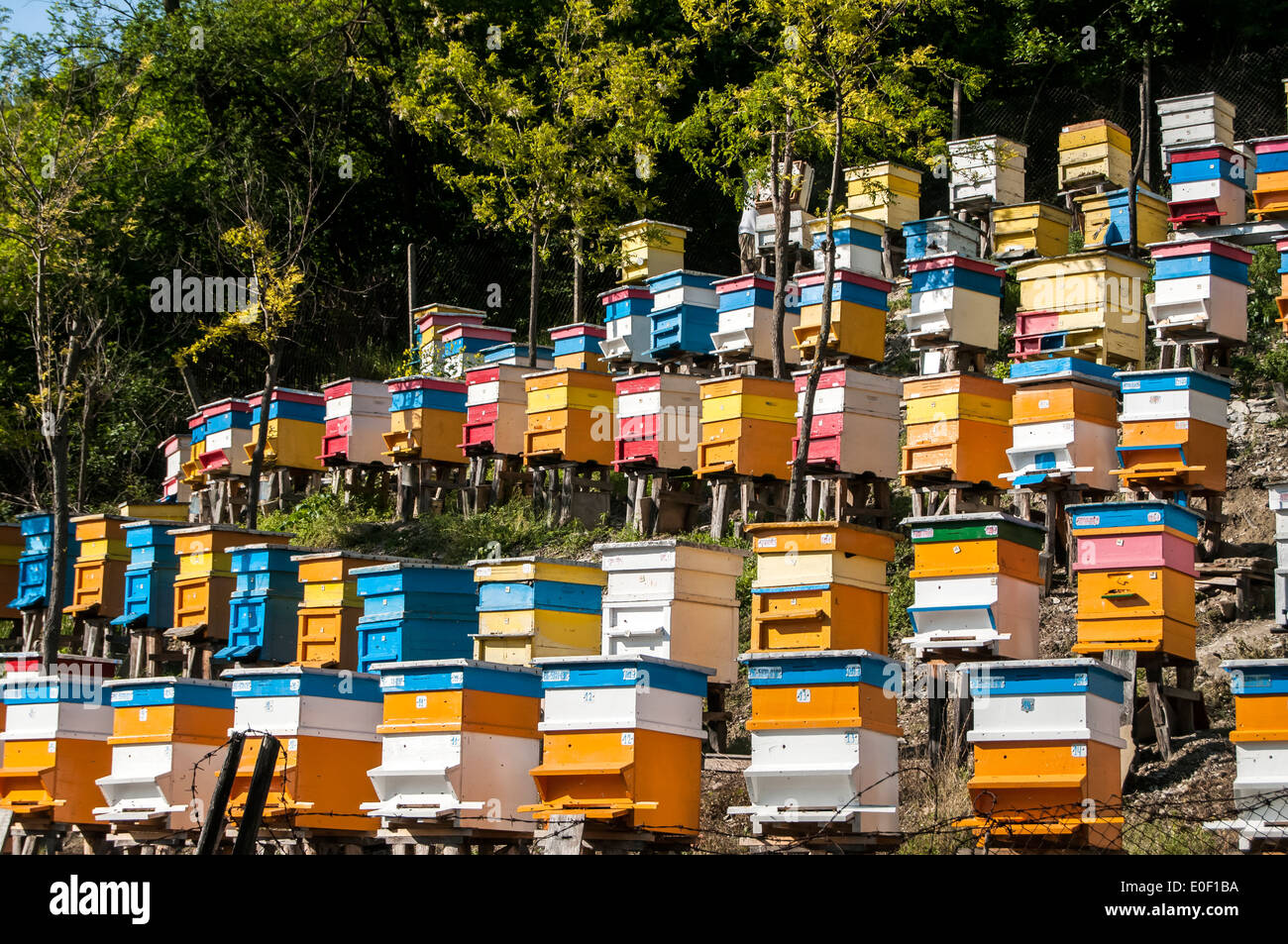 Colored beehives on slope Stock Photo - Alamy