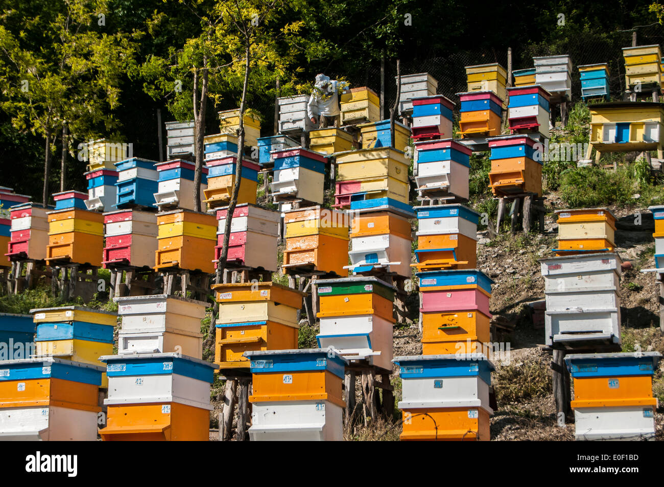 Colored beehives on slope Stock Photo - Alamy