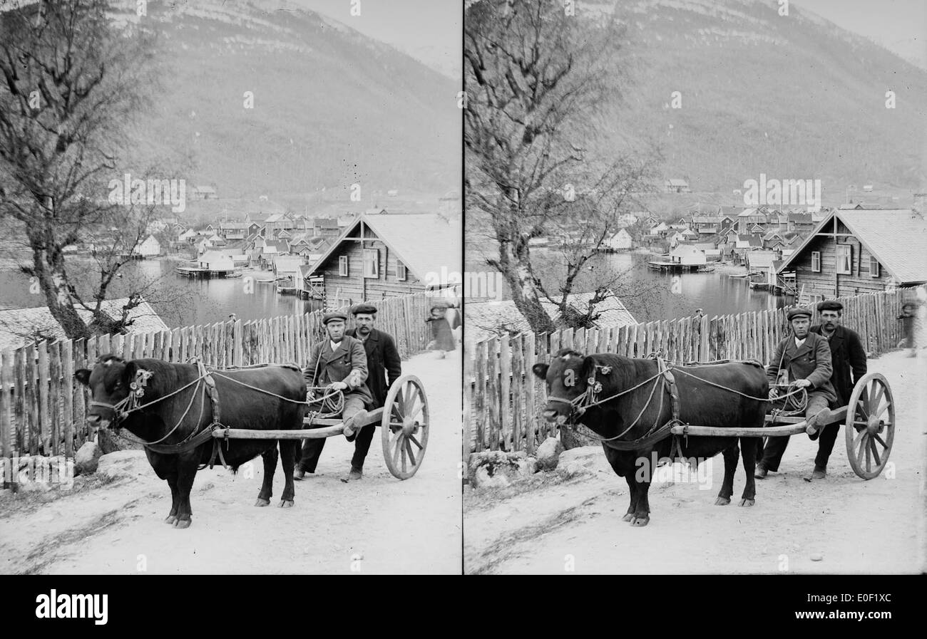 Bullock Cart Black and White Stock Photos & Images - Alamy