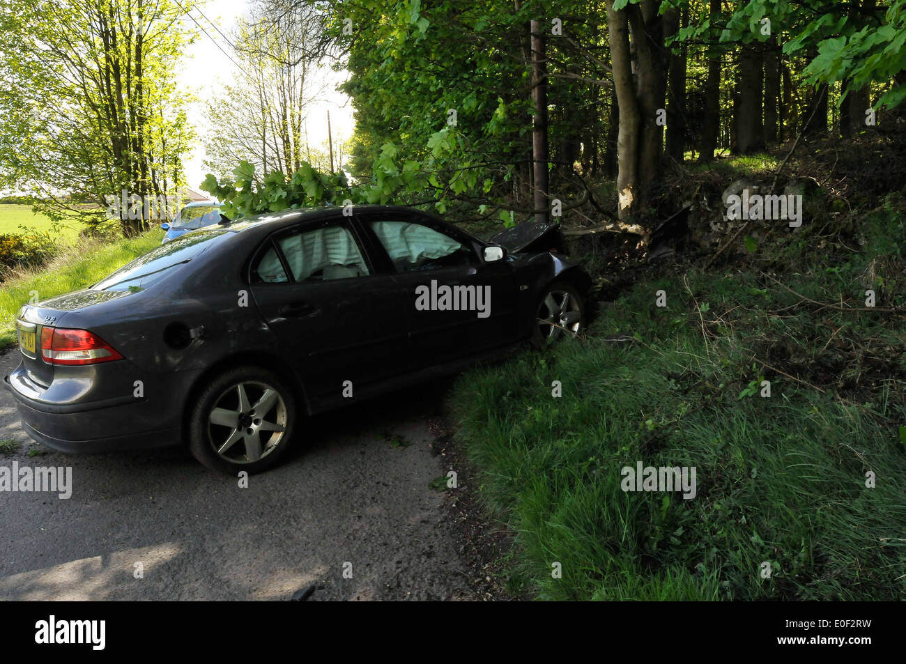 Car crash with a tree Stock Photo - Alamy