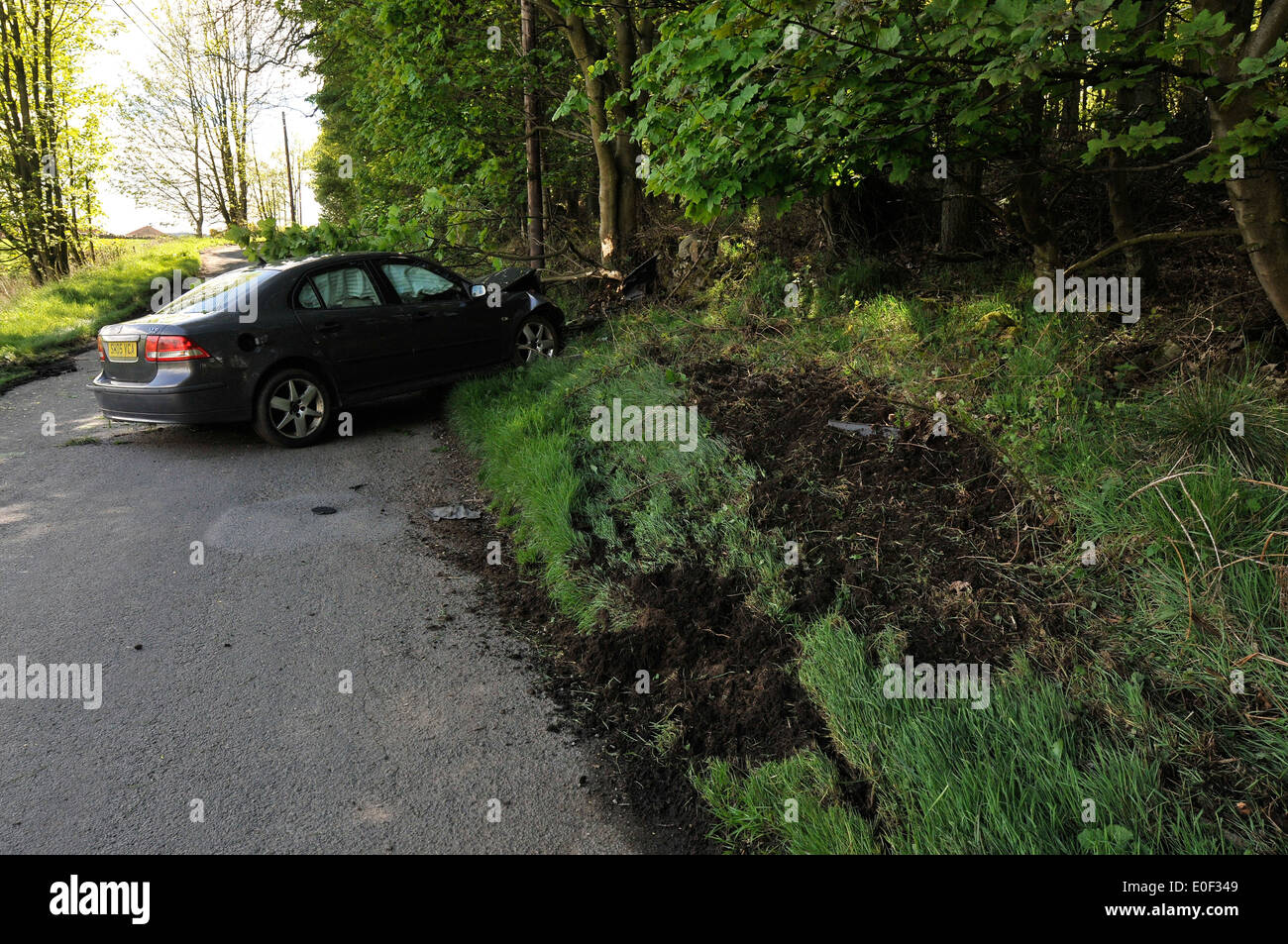 Tree smash hi-res stock photography and images - Alamy