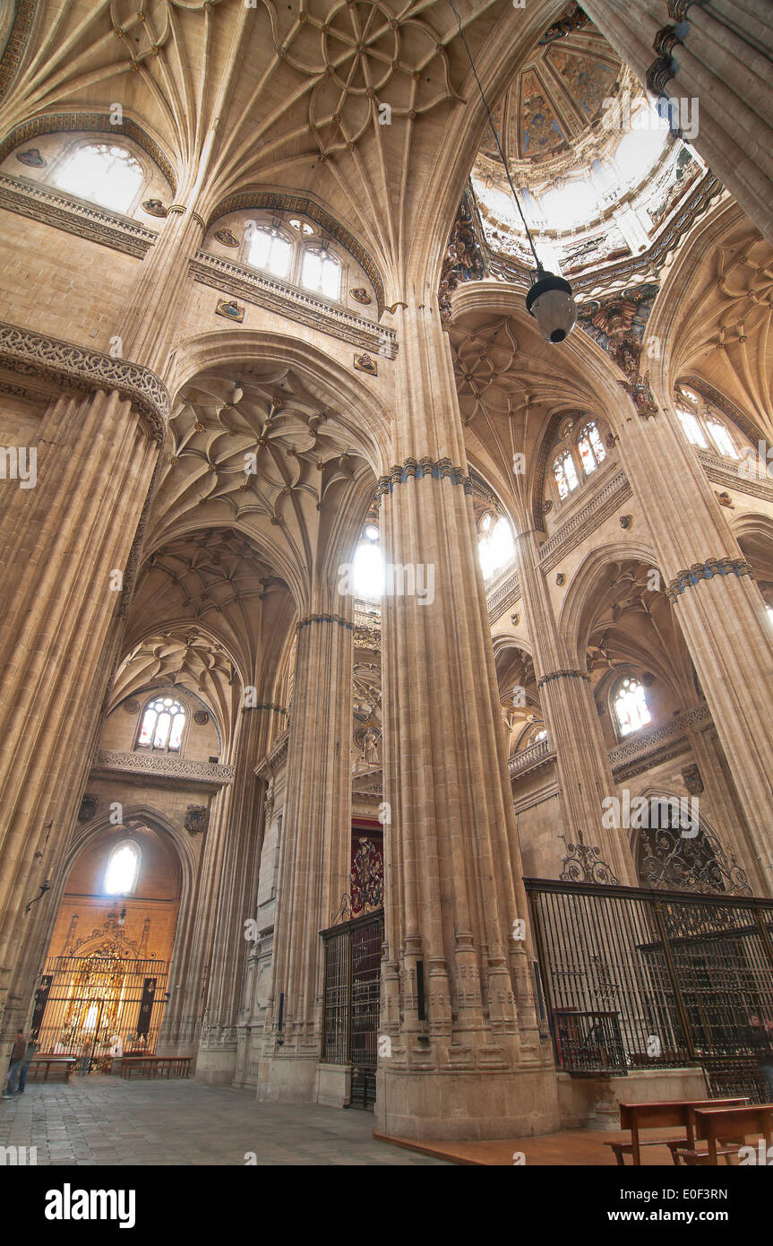 Leon cathedral interior hi-res stock photography and images - Alamy