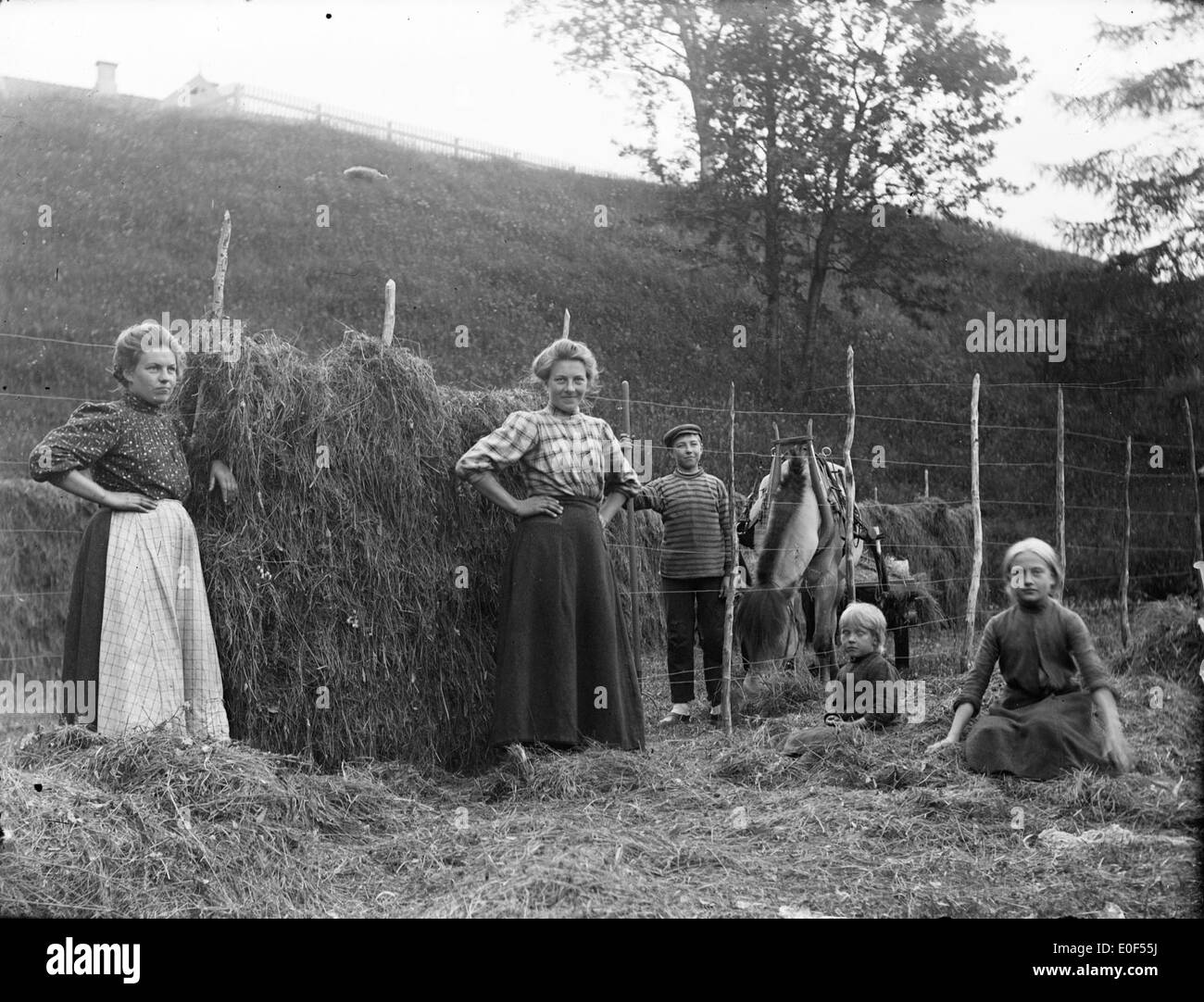 Farmers with the haymaking Black and White Stock Photos & Images - Alamy