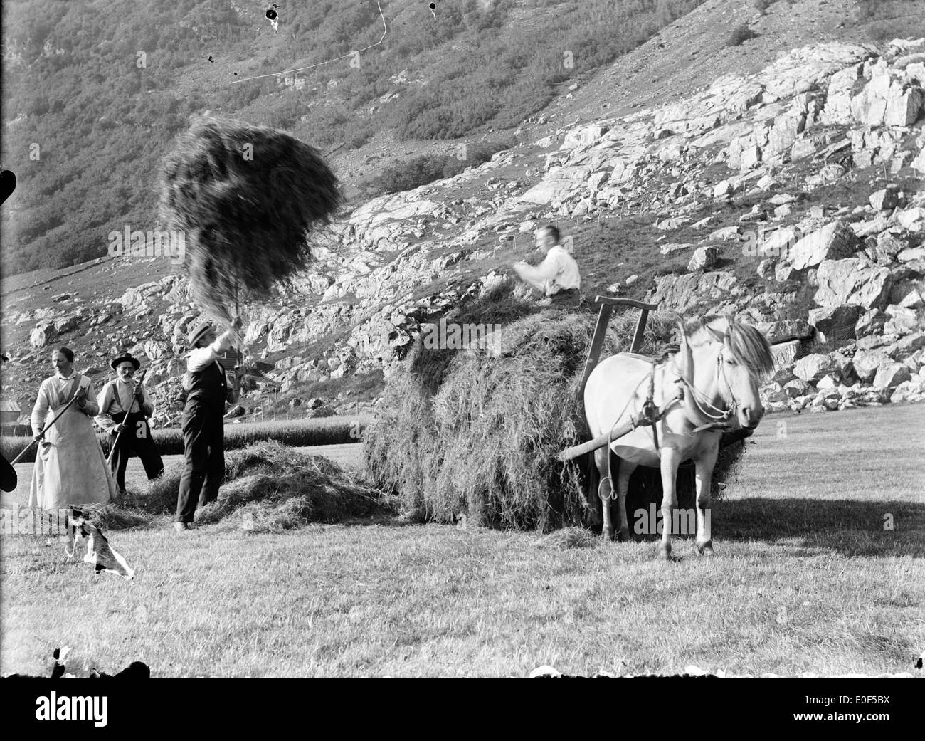 Old hay wagon Black and White Stock Photos & Images - Alamy