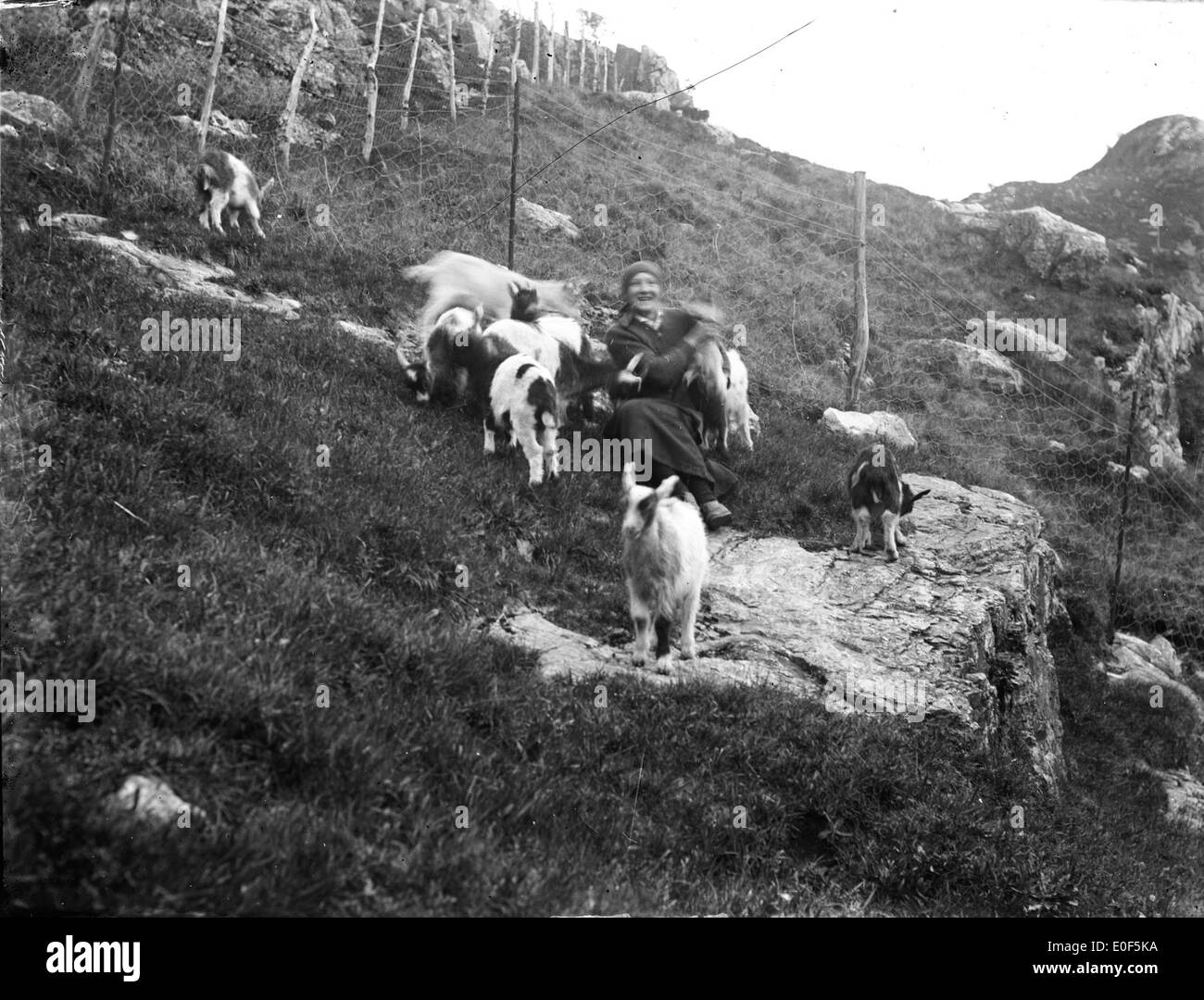 Old woman with goats hi-res stock photography and images - Alamy