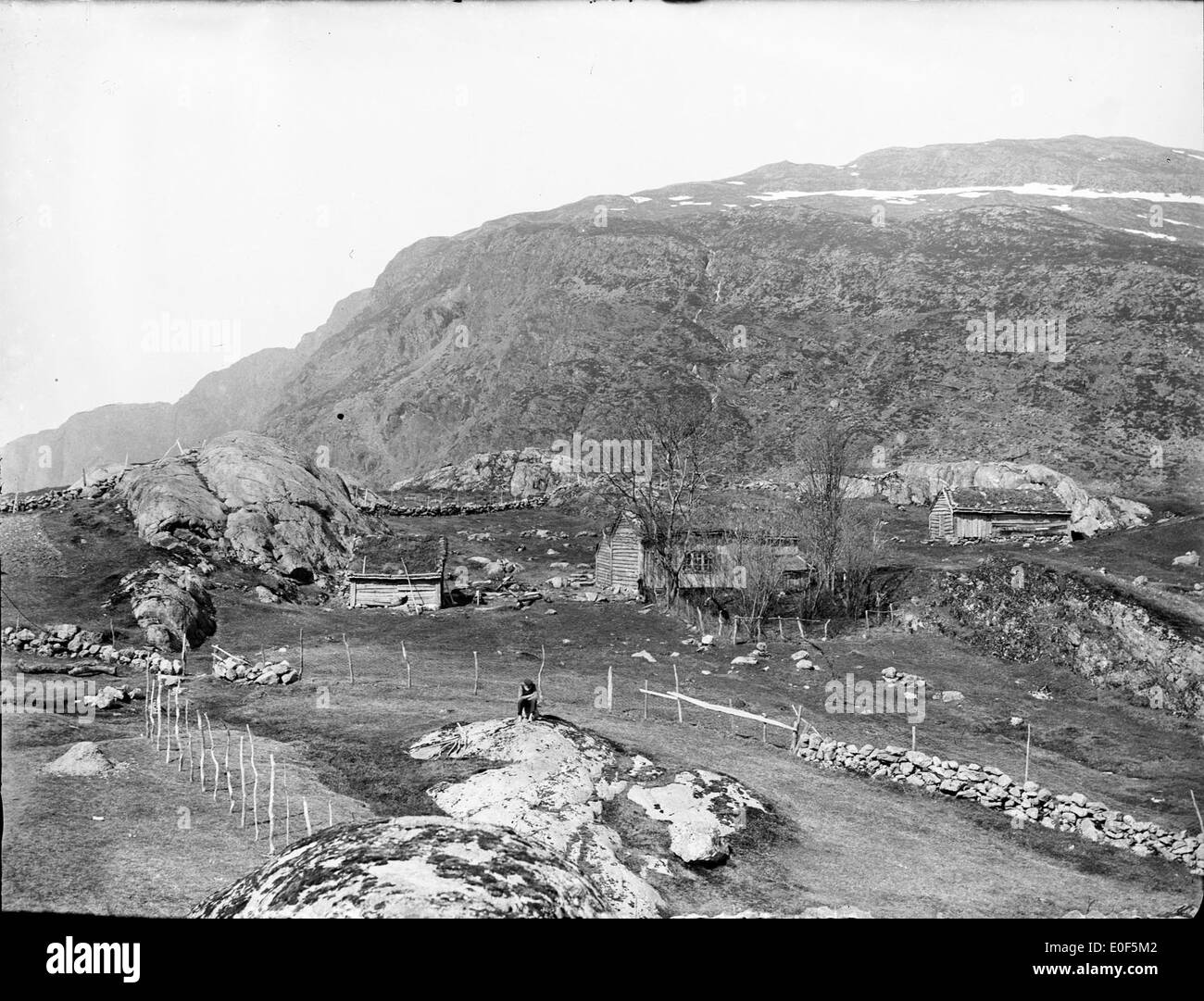 Beauty of agricultural life Black and White Stock Photos & Images - Alamy