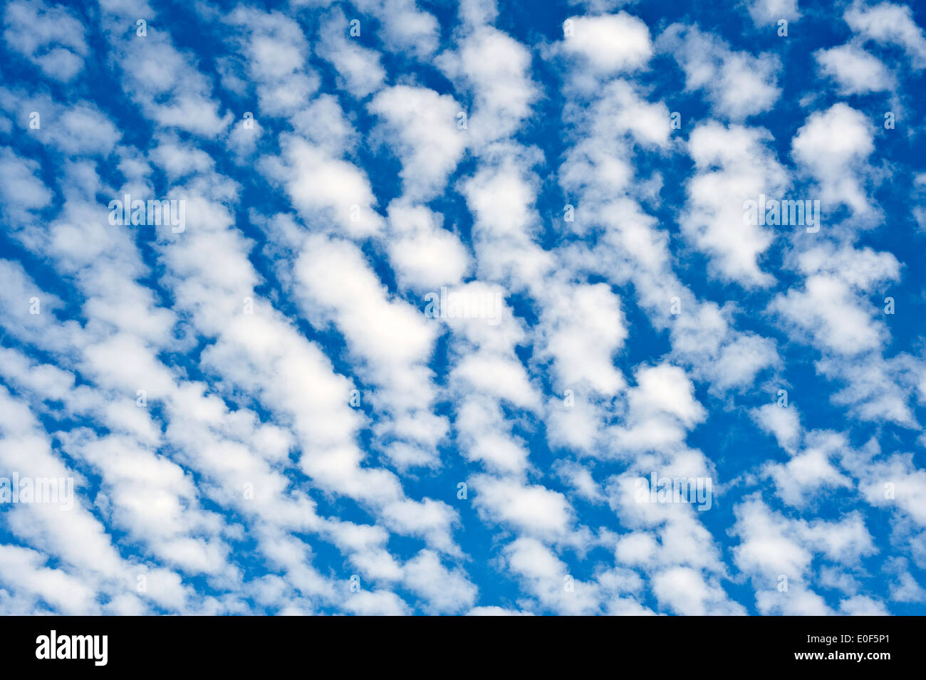 Altocumulus clouds in blue sky Stock Photo - Alamy