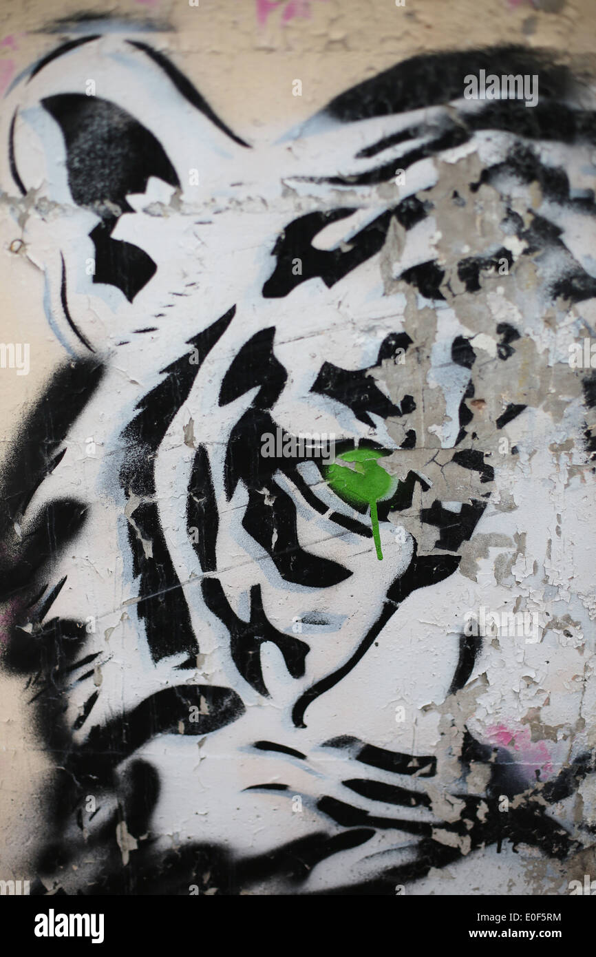 A flaking old graffiti painting of a white tiger in Duluth, MN, USA ...