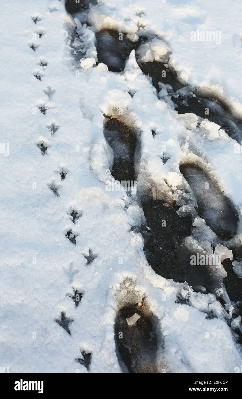 Human prints hi-res stock photography and images - Alamy