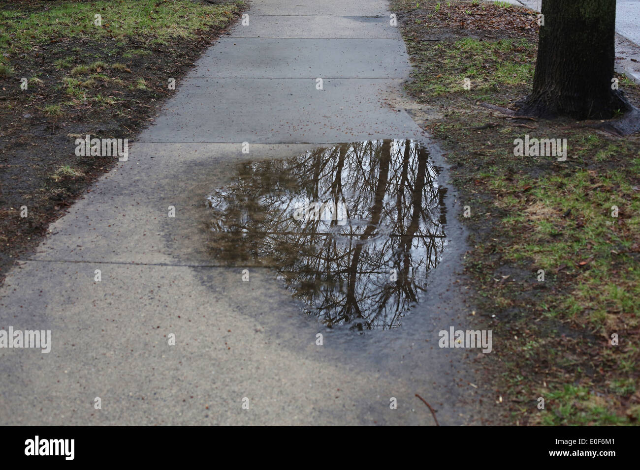 Rain Puddle On Sidewalk