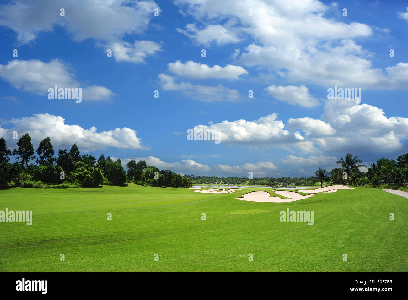 Plant of course hi-res stock photography and images - Alamy