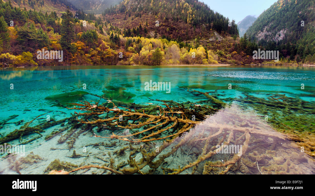 Jiuzhaigou valley national park hi-res stock photography and images - Alamy
