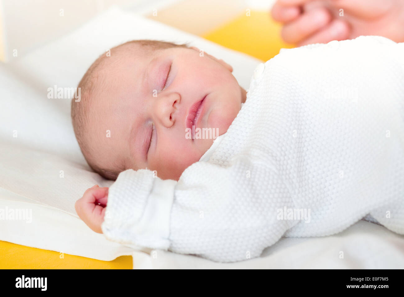sleeping newborn baby in the hospital - the first hours of the new life ...