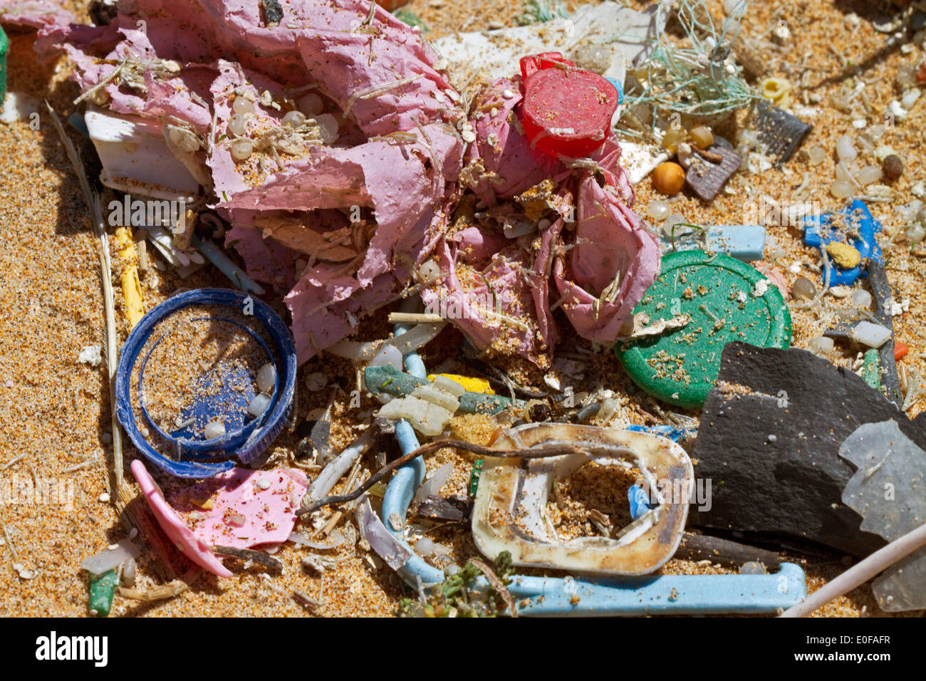 Plastic soup, small pieces of plastic, washed ashore on a beach of the ...