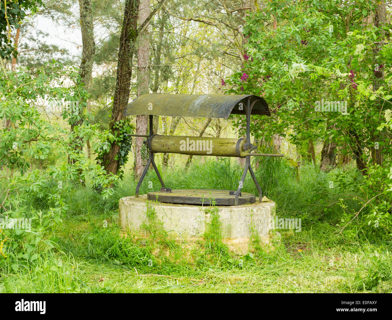Old waterwell hidden in the French forrest Stock Photo - Alamy