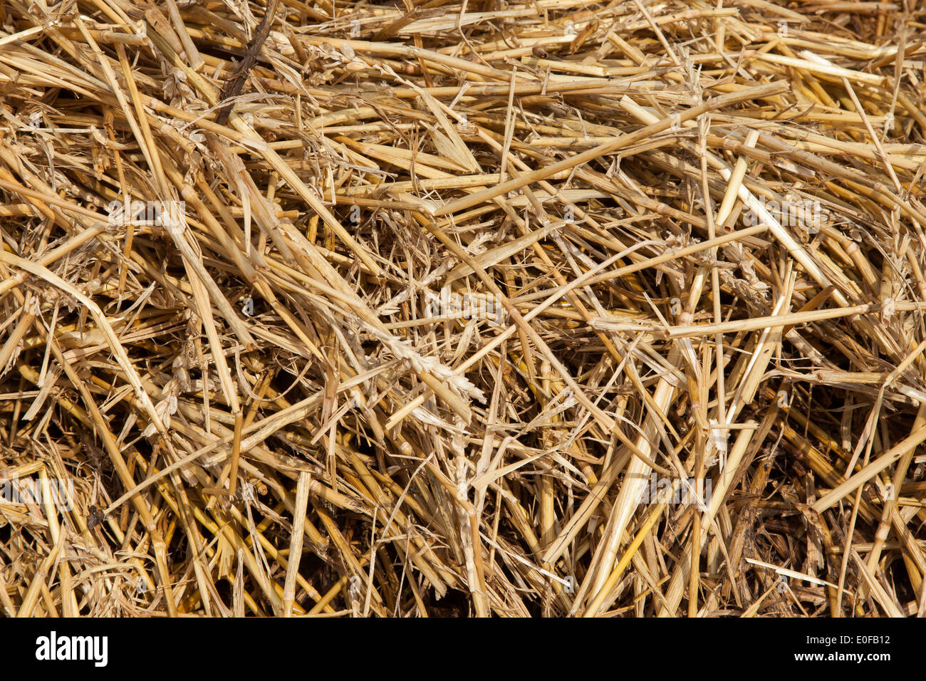 Straw texture wallpaper background hi-res stock photography and images ...