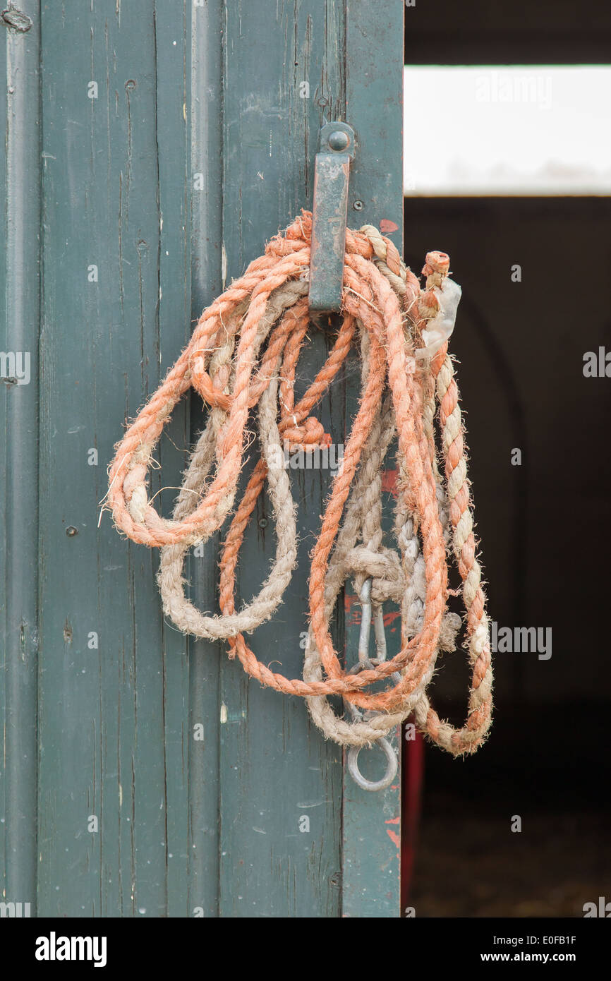 Old rope hanging at a door on a dutch farm Stock Photo - Alamy