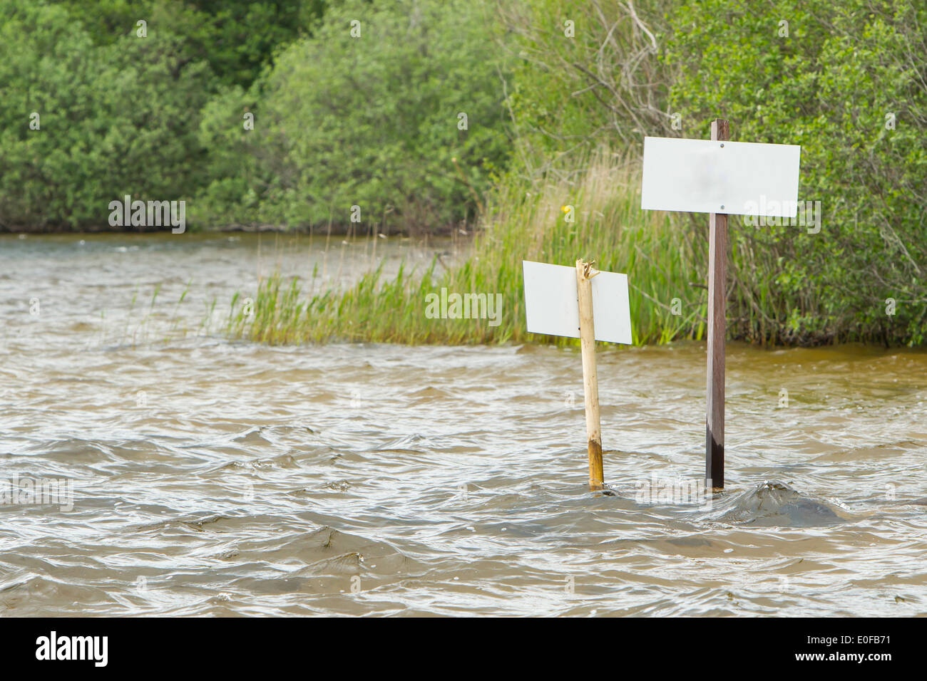 Blank sign standing at the shore of a lake Stock Photo - Alamy