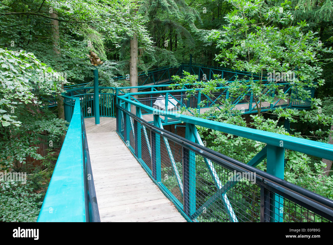 Green pathway through the trees, nature walk Stock Photo - Alamy