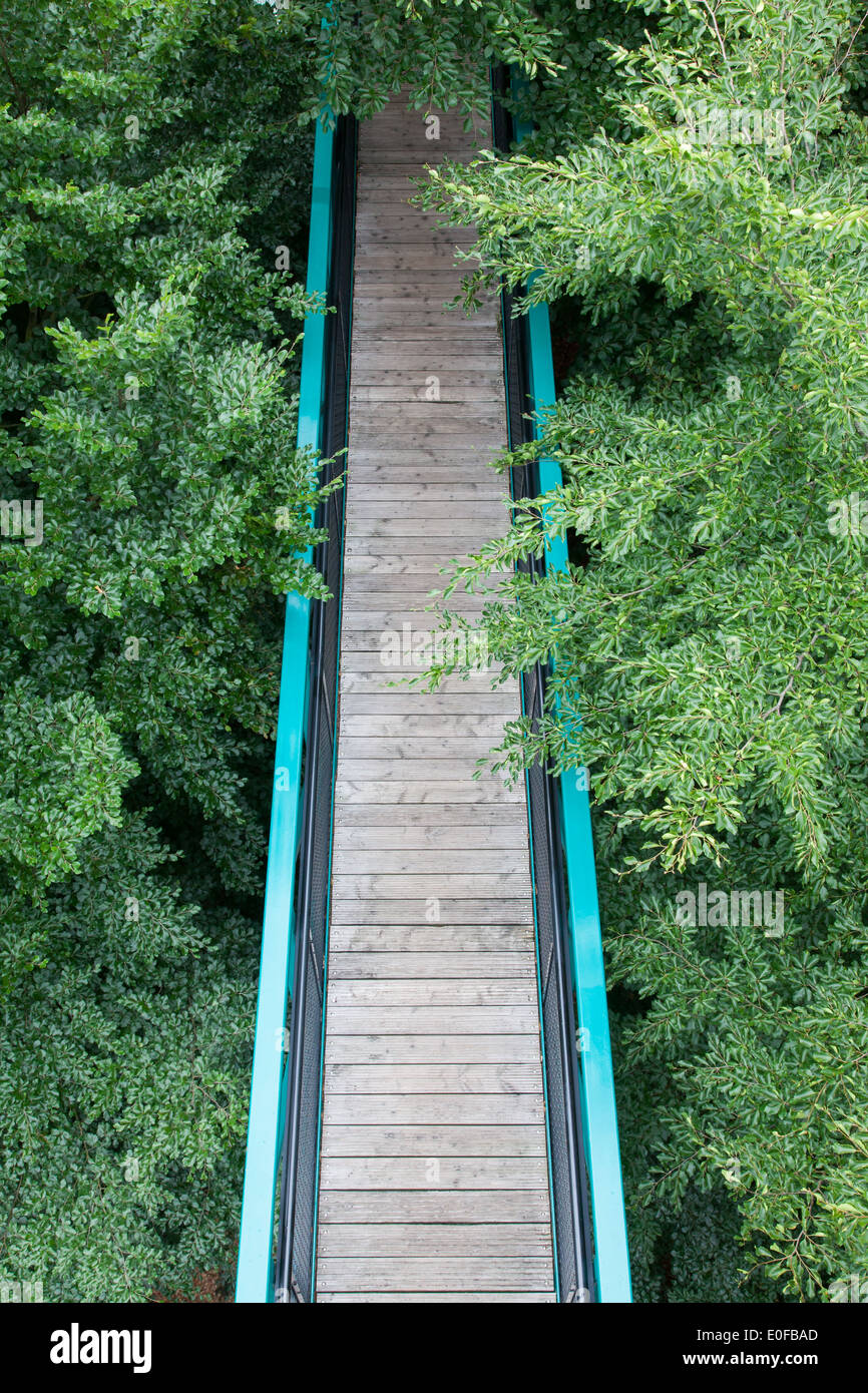 Green pathway through the trees, nature walk Stock Photo - Alamy
