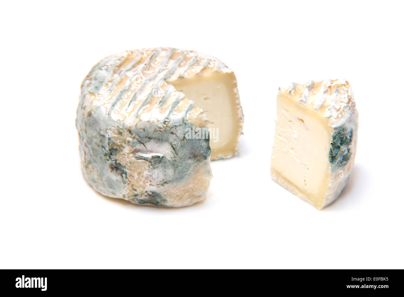 French goats cheese "crottin de chavignol" isolated on a white studio ...