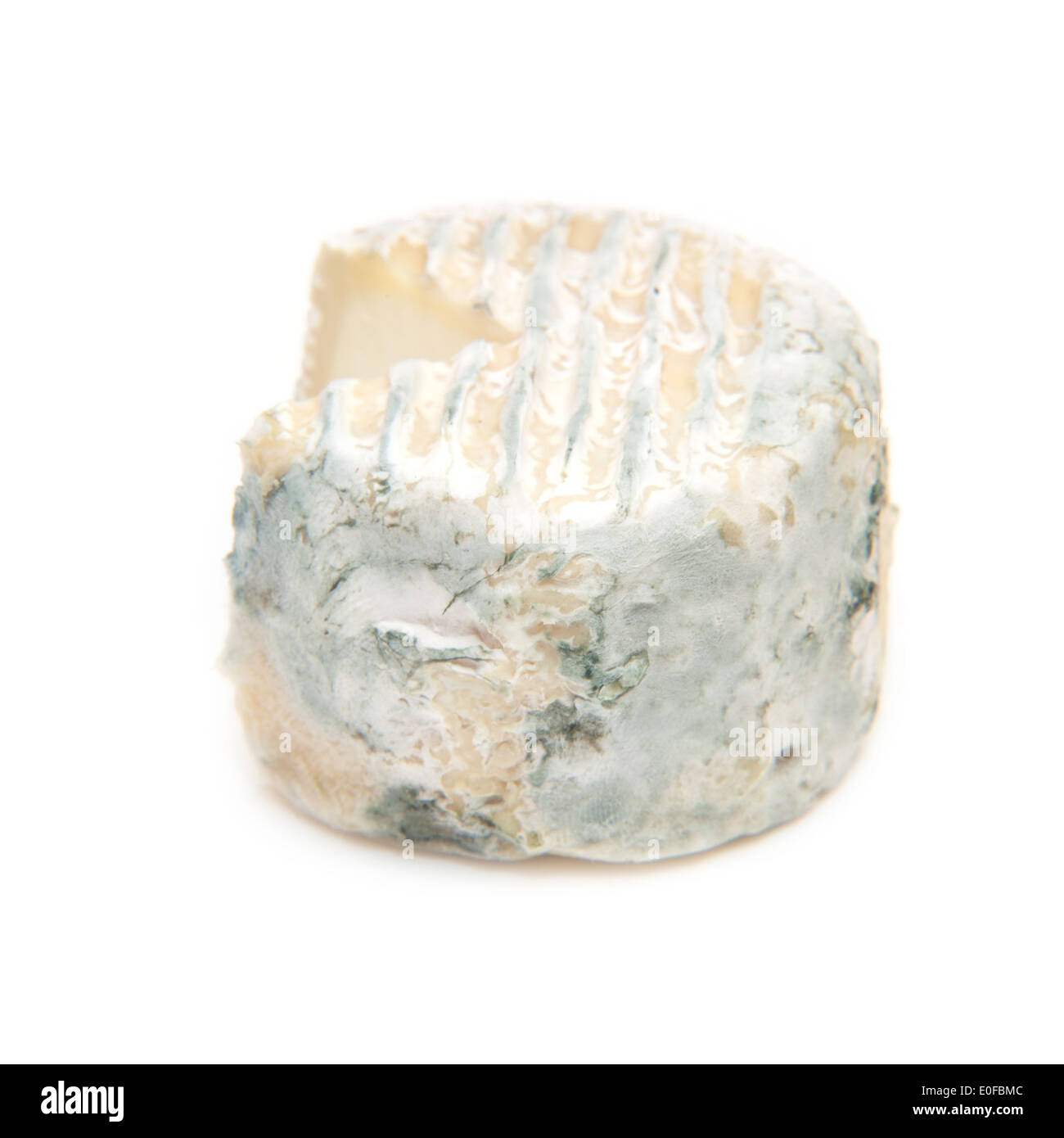 French goats cheese "crottin de chavignol" isolated on a white studio ...