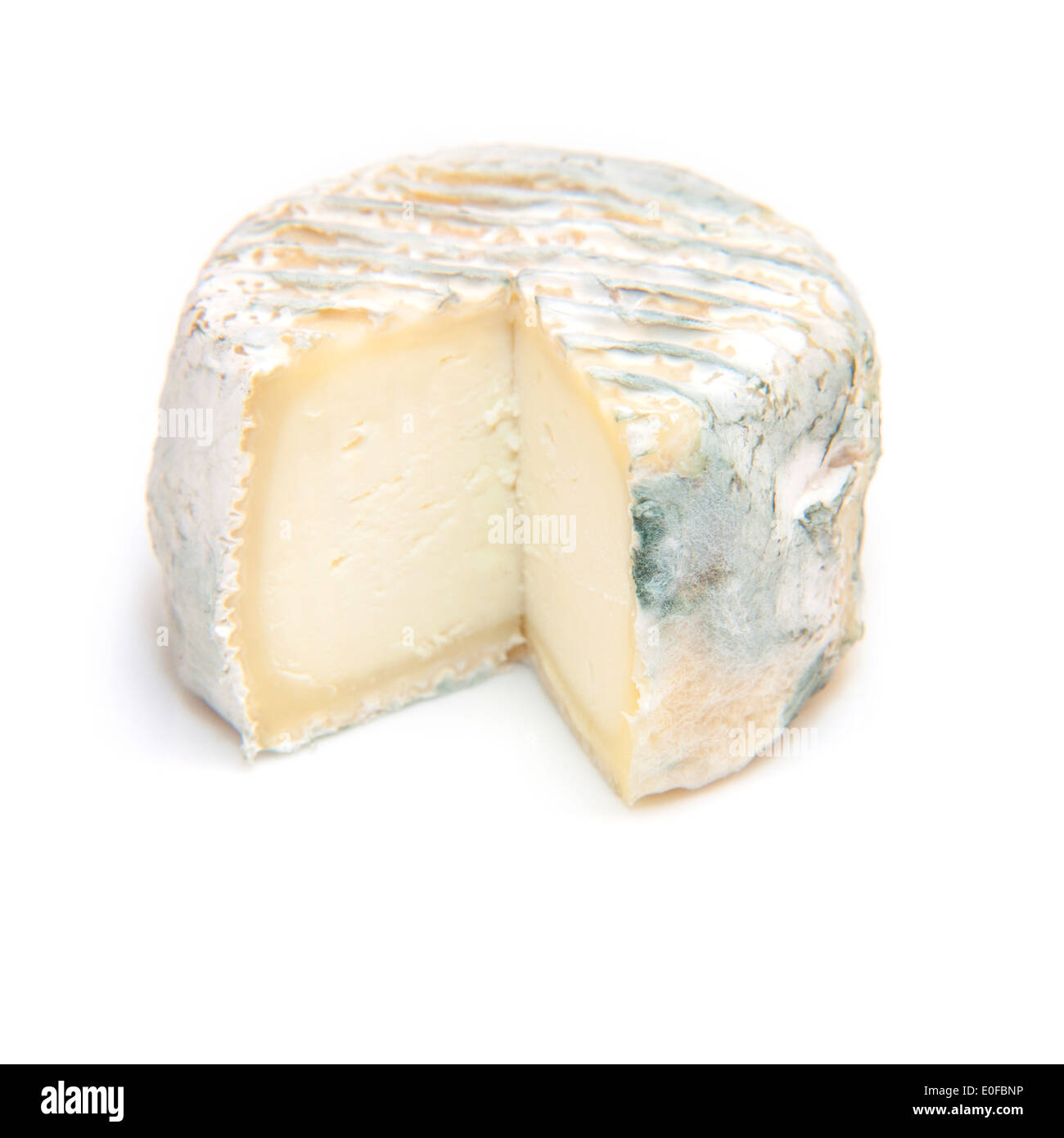 French goats cheese "crottin de chavignol" isolated on a white studio ...