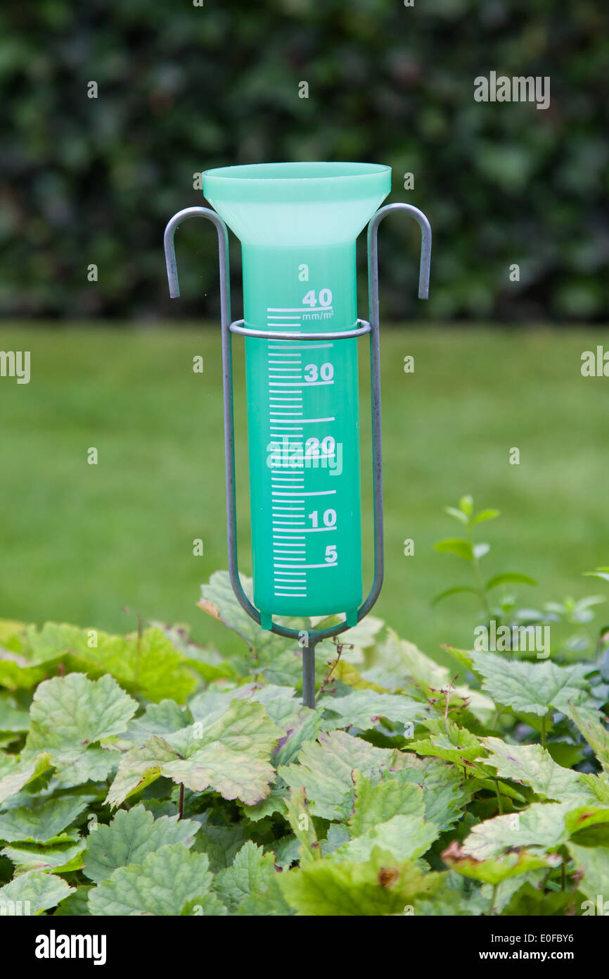 Green rain meter in a private garden Stock Photo - Alamy