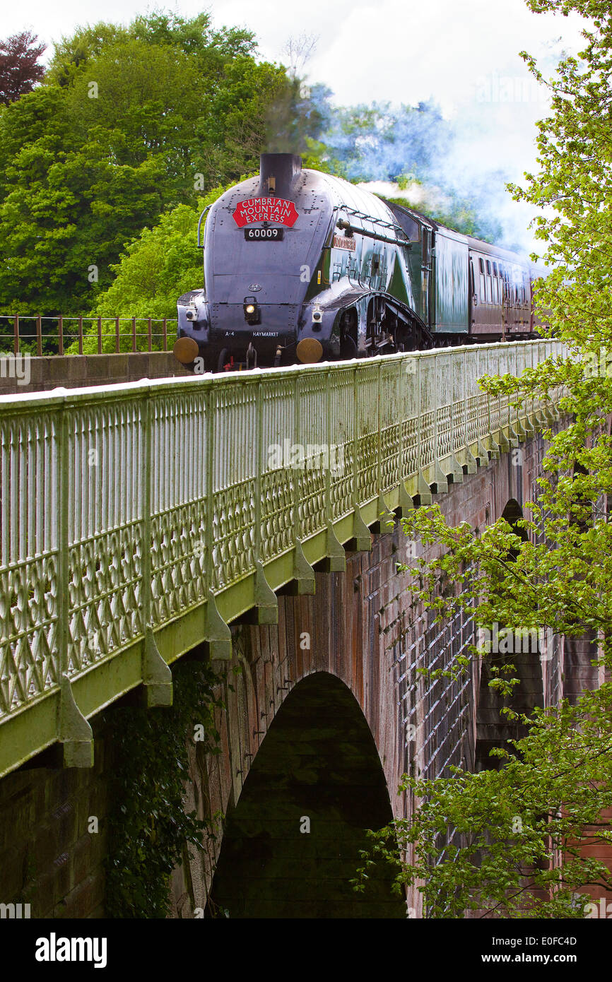 Steam train Union of South Africa crossing Wetheral Viaduct, Wetheral ...